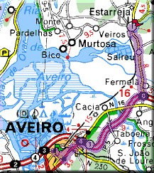 -> Aveiro Cup
